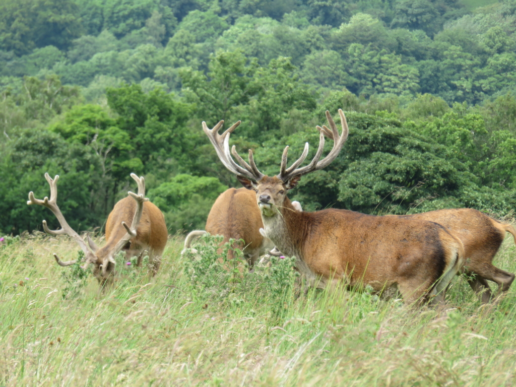 Pride & Prejudice Filming Locations | How Beautiful Life Is