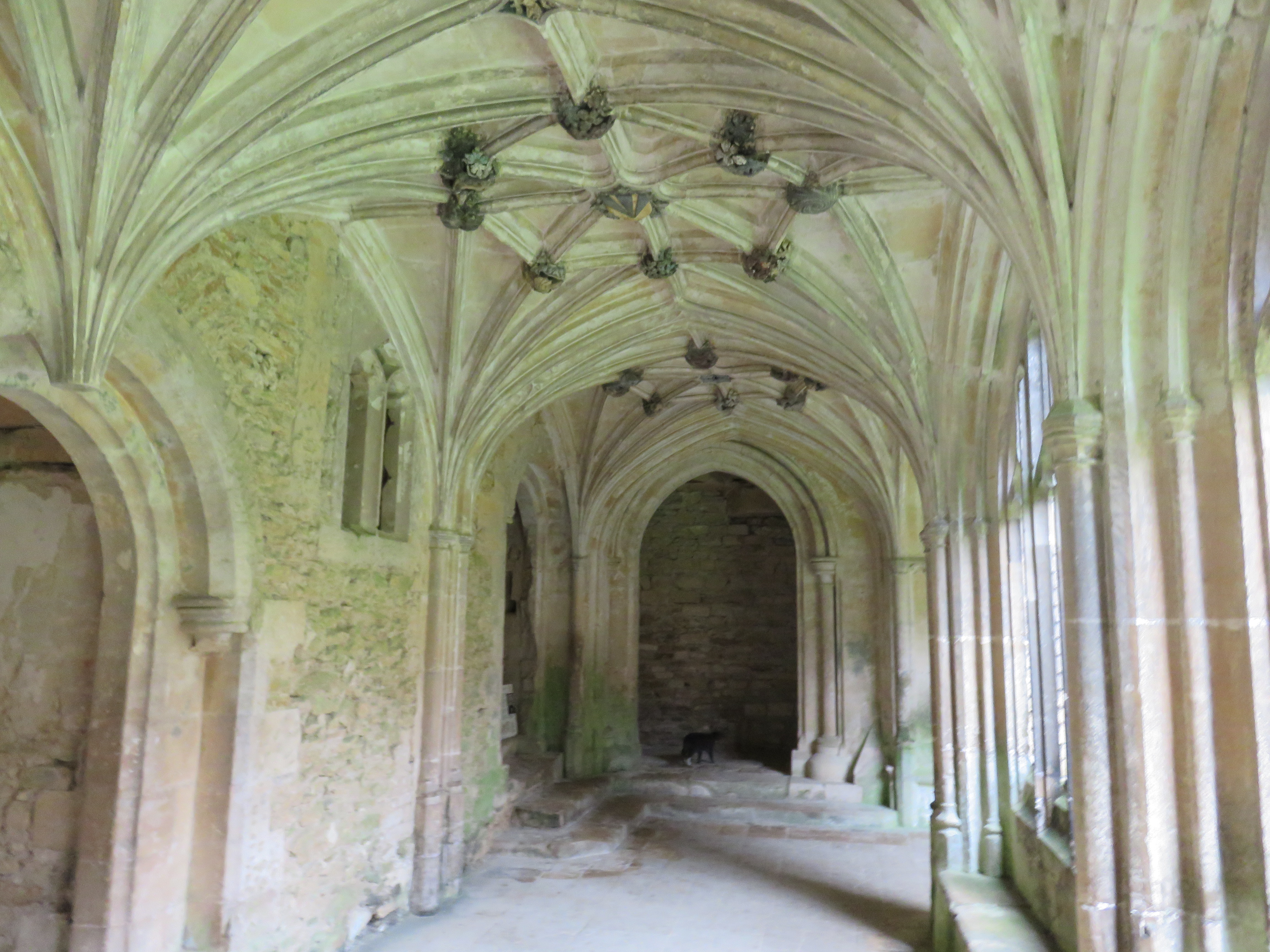 Visit the Historic Village of Lacock | How Beautiful Life Is