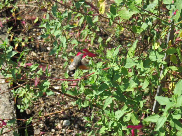 Ultimate Guide to Exploring Bordeaux | How Beautiful Life Is