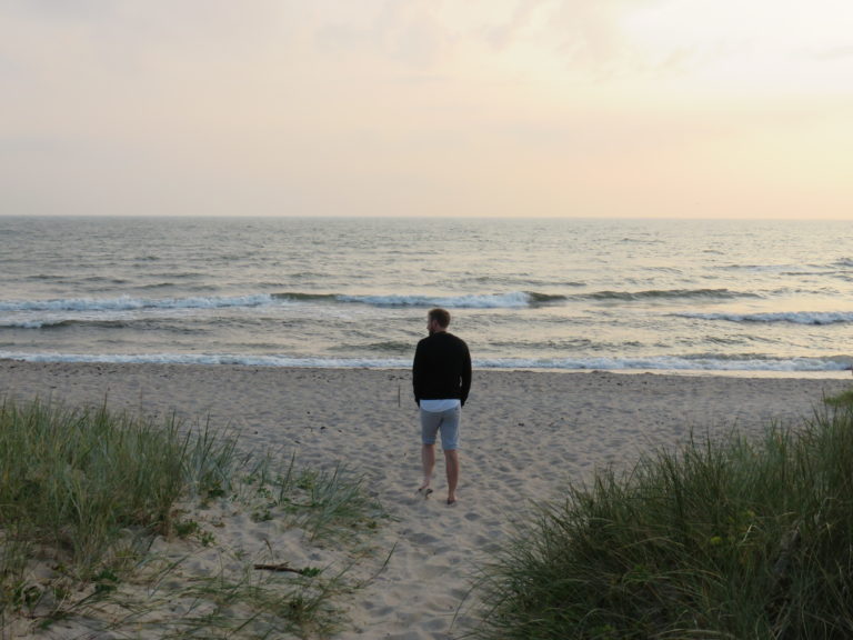 Visiting Wild Horses & Auroxen in Latvia | How Beautiful Life Is