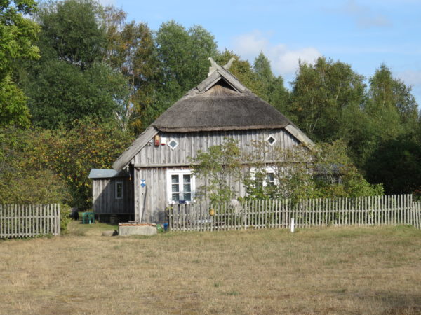 Visiting Wild Horses & Auroxen in Latvia | How Beautiful Life Is