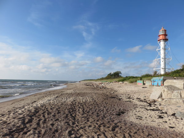 Visiting Wild Horses & Auroxen in Latvia | How Beautiful Life Is