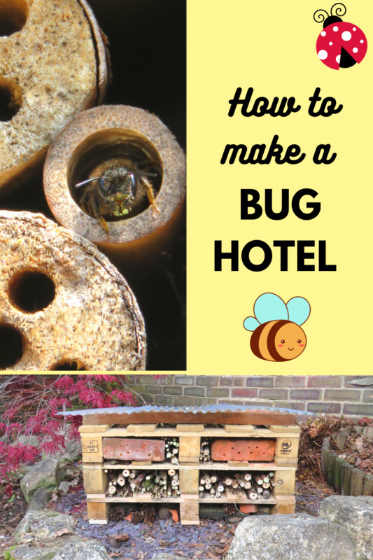 How to Make Your Own Insect Hotel Using Pellets